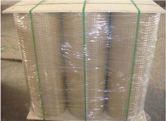 SS welded wire mesh